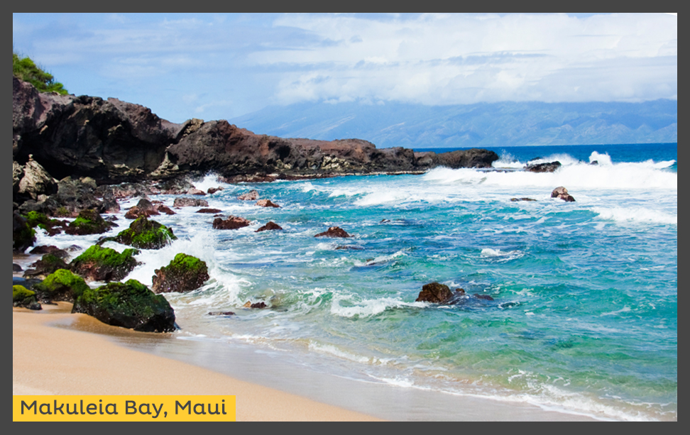 The Best Beaches For Snorkeling In Maui