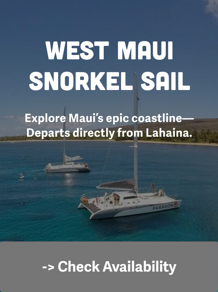 Maui Activities - The Snorkel Store