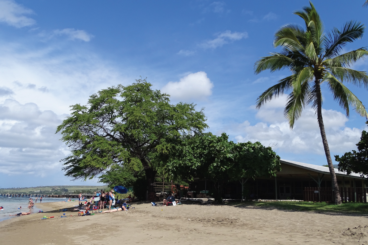 Baby Beach Photo Gallery - The Snorkel Store