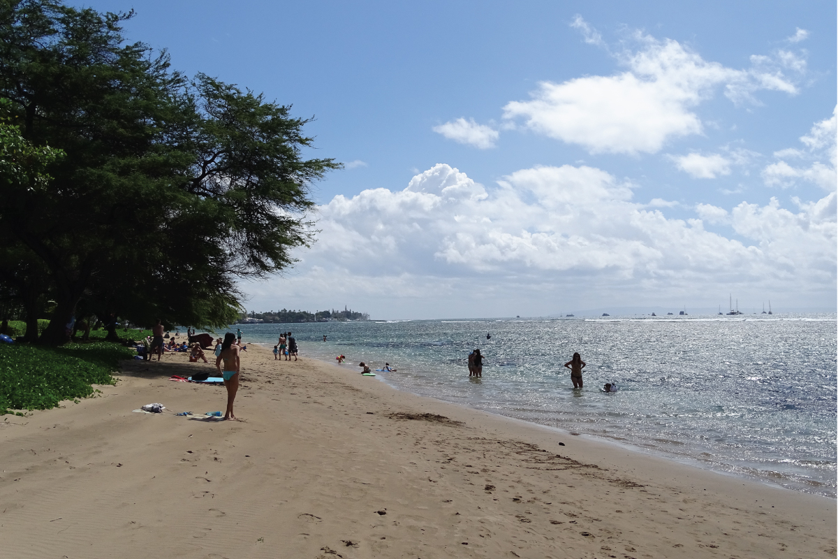 Baby Beach Photo Gallery - The Snorkel Store