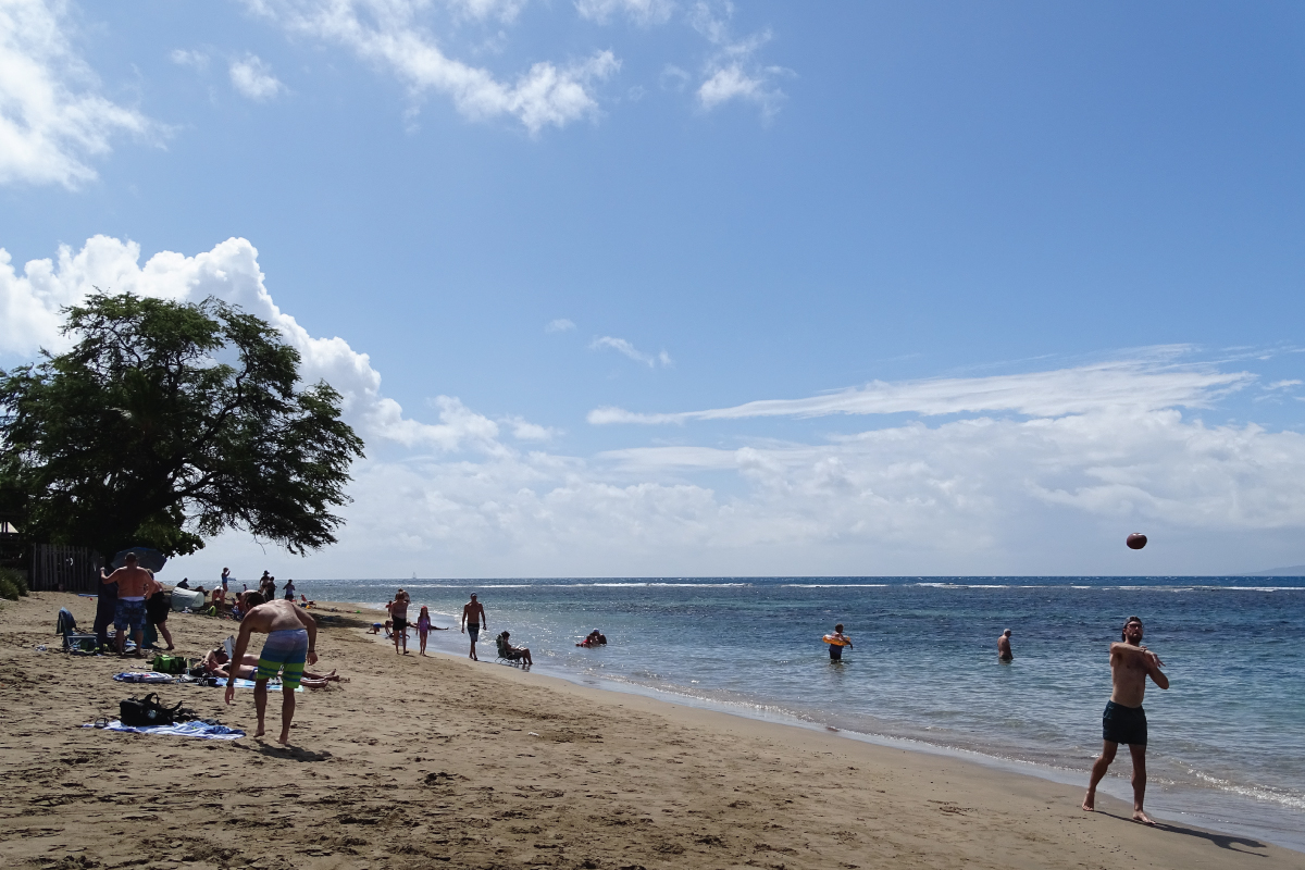 Baby Beach Photo Gallery - The Snorkel Store