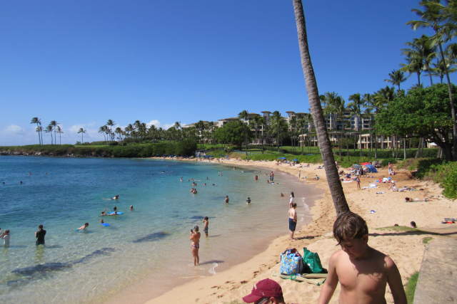 Kapalua Bay Photo Gallery - The Snorkel Store