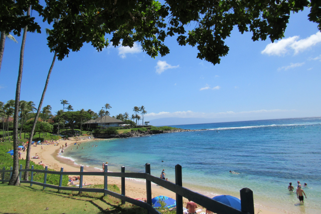 Kapalua Bay Photo Gallery - The Snorkel Store