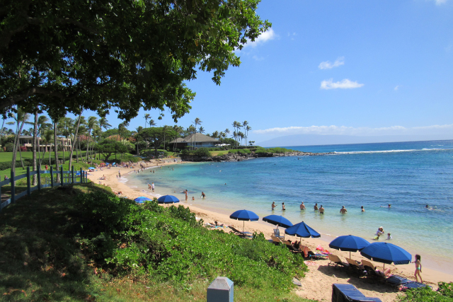 Kapalua Bay Photo Gallery - The Snorkel Store