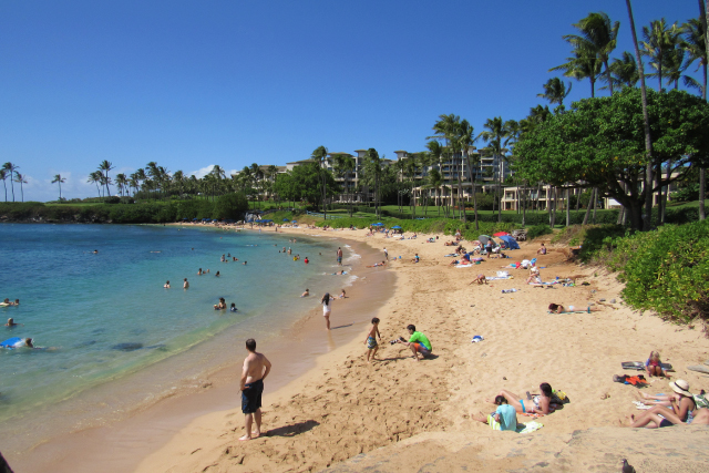 Kapalua Bay Photo Gallery - The Snorkel Store