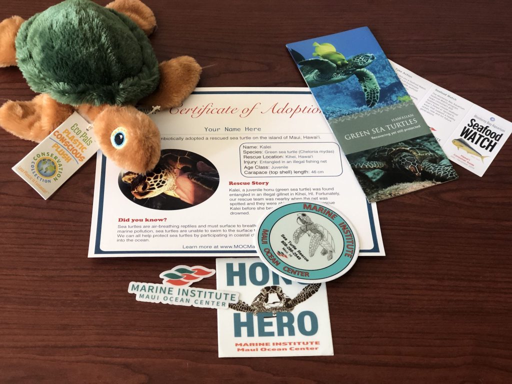 Our Partnership - The Snorkel Store